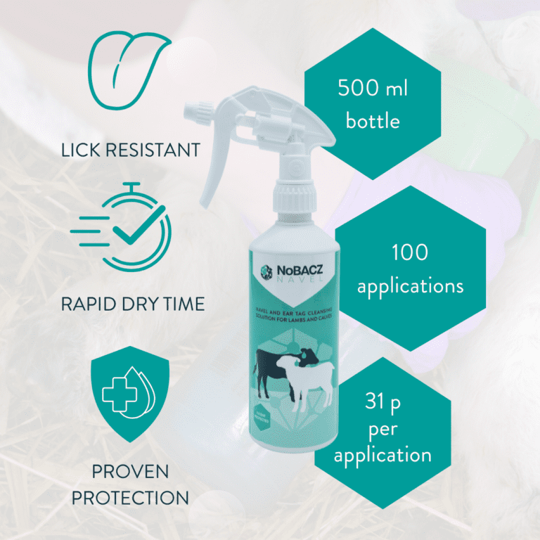 NoBacz Navel - nobacz