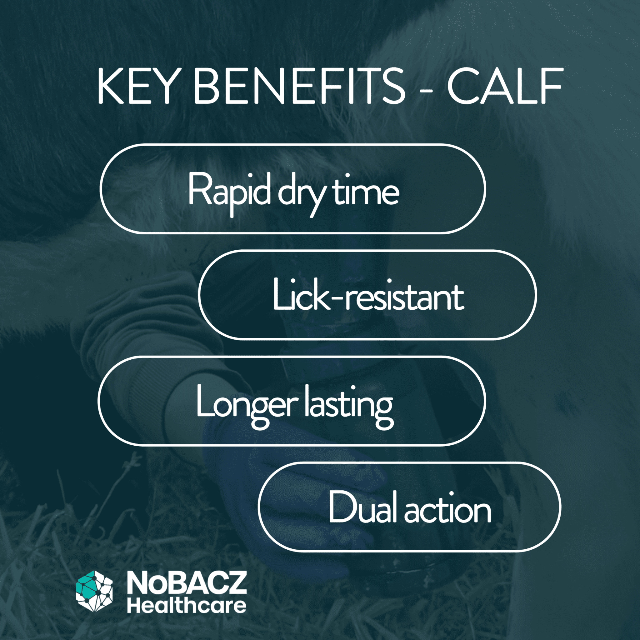 NoBacz Navel - NoBACZ