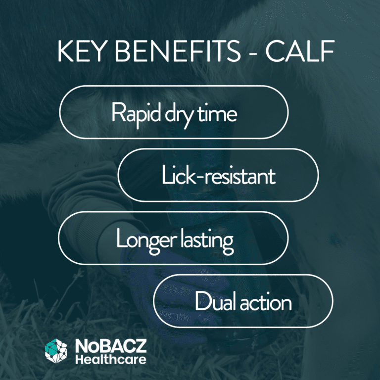 NoBacz Navel - NoBACZ