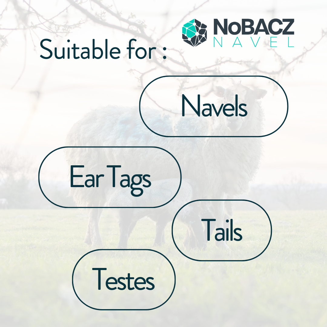 NoBacz Navel - NoBACZ