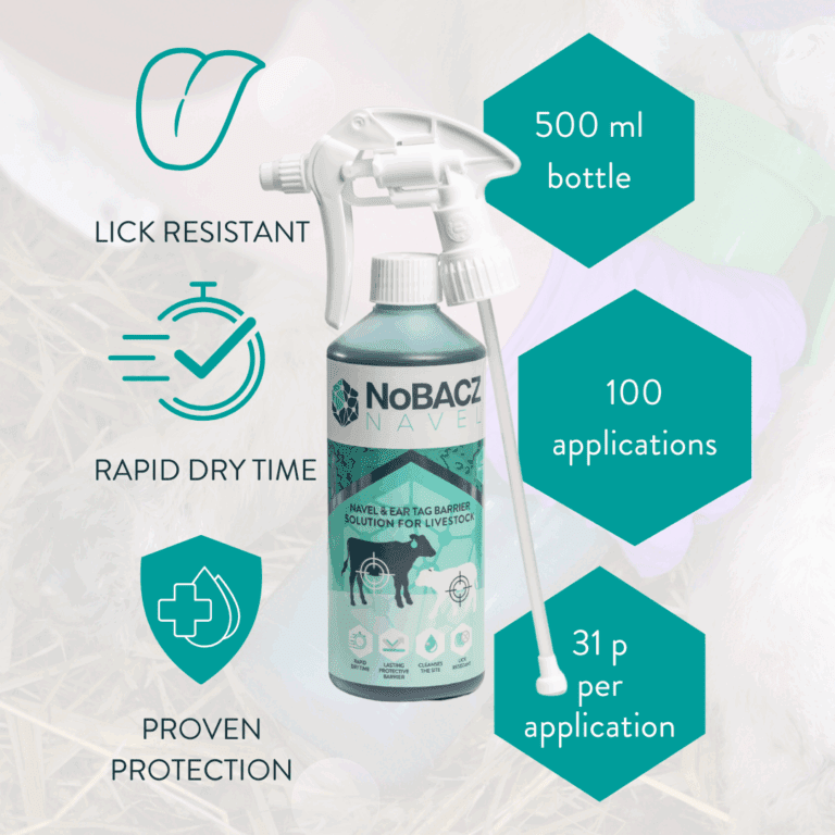 NoBacz Navel - NoBACZ